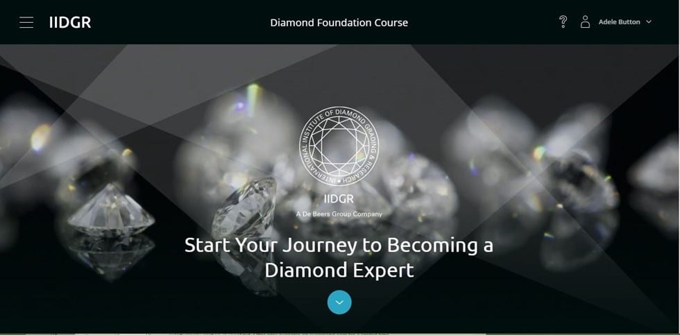 The De Beers Group Partner With Ridgeway To Launch A Diamond Education Experience - Figaro Digital
