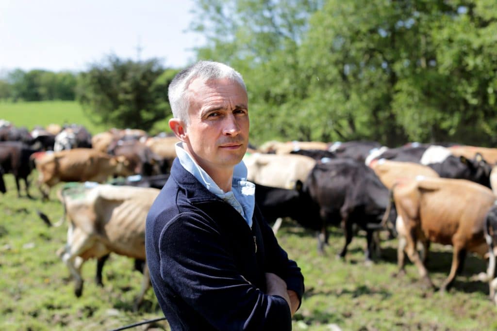 Seriously Strong Cheddar - Figaro Digital