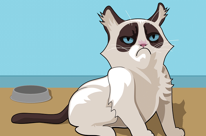 #CatsNotAds – Putting Their Paws Down on Advertising - Figaro Digital